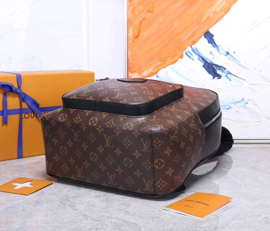 High accuracy Mens Louis Vuitton Backpacks