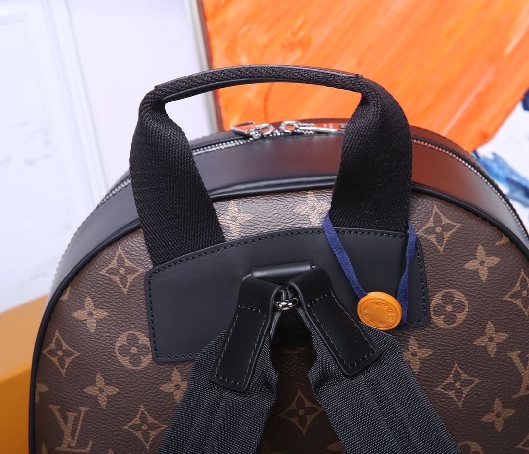 High accuracy Mens Louis Vuitton Backpacks