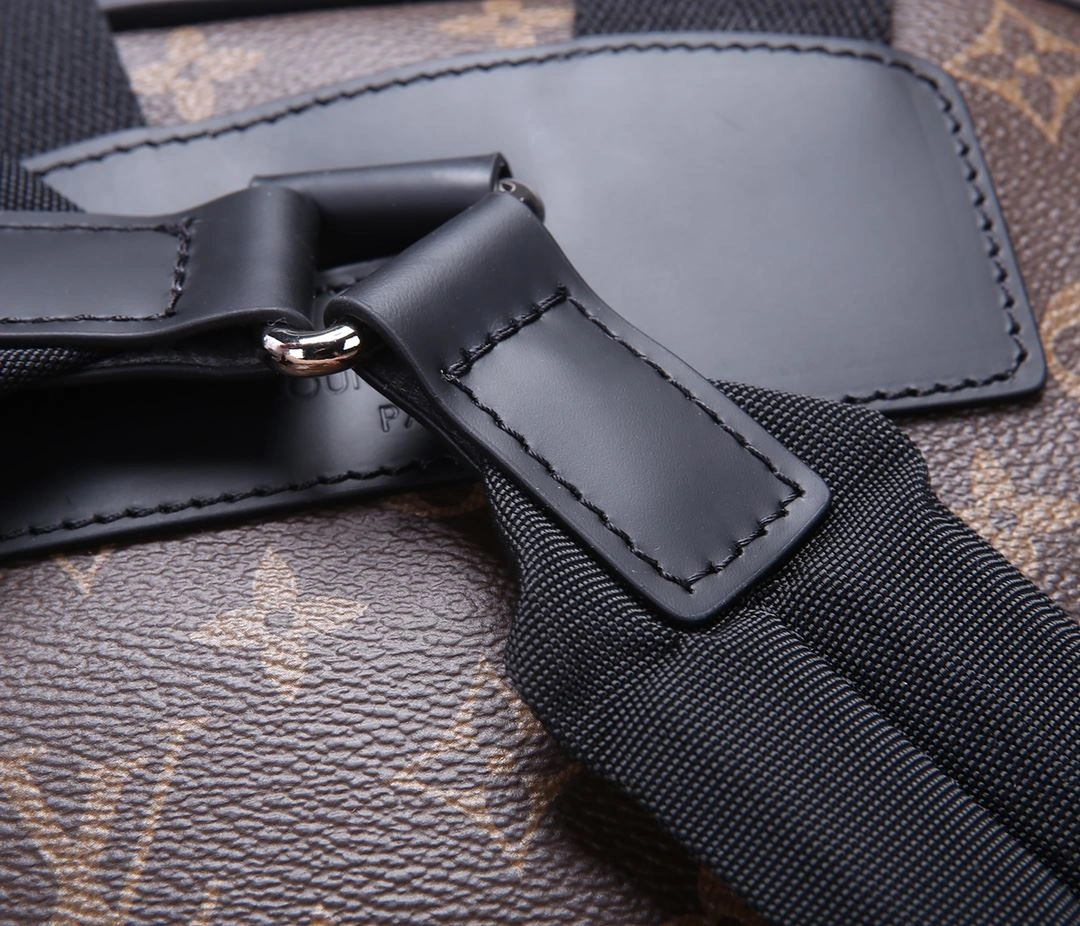 High accuracy Mens Louis Vuitton Backpacks