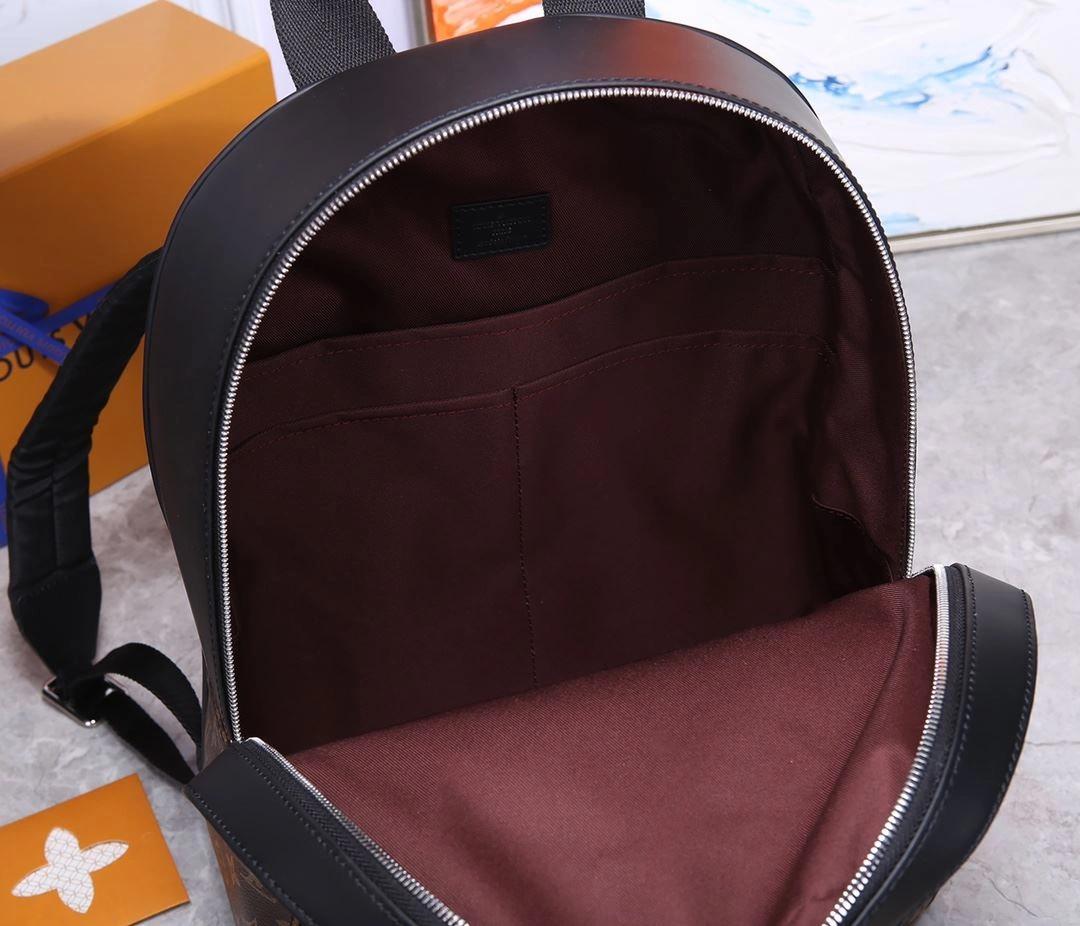 High accuracy Mens Louis Vuitton Backpacks