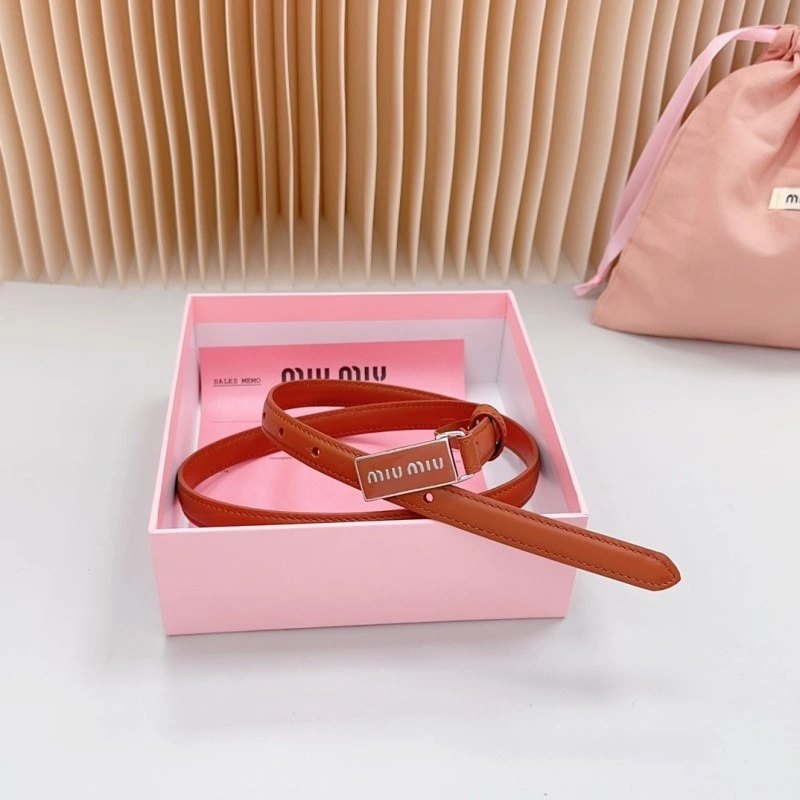 Indistinguishable Miu Miu Belts
