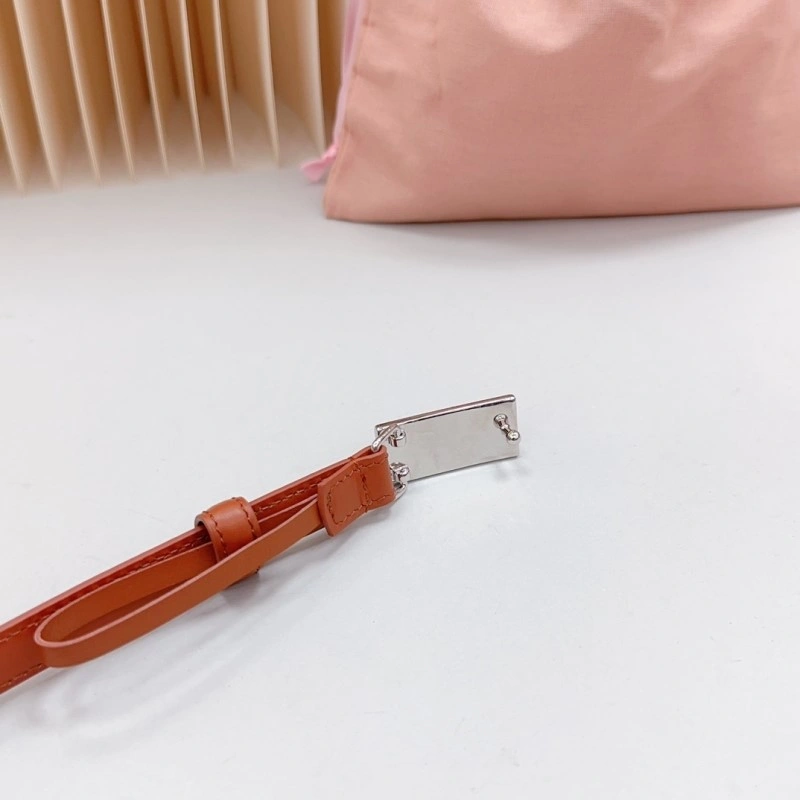 Indistinguishable Miu Miu Belts