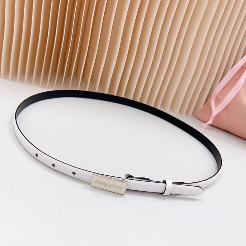 Reasonably priced Miu Miu Belts