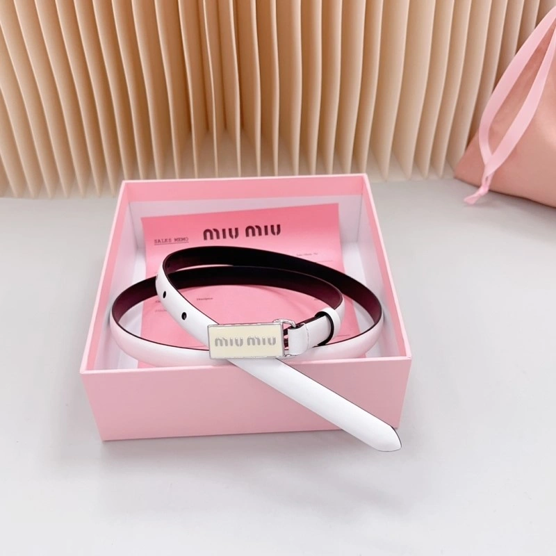 Reasonably priced Miu Miu Belts