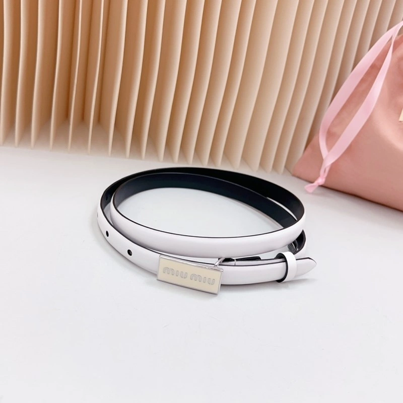 Reasonably priced Miu Miu Belts