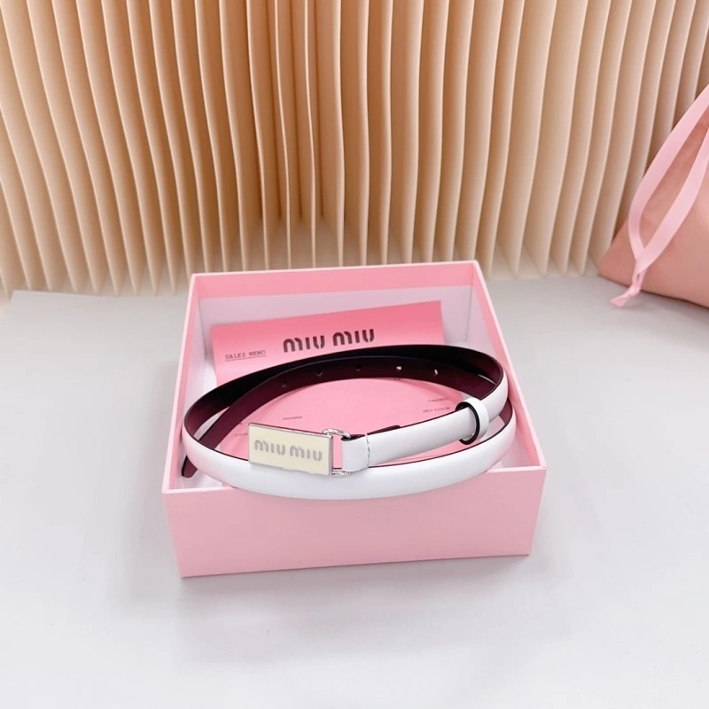 Reasonably priced Miu Miu Belts