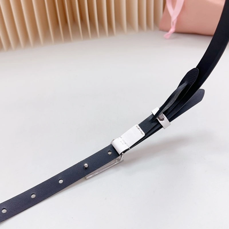 Reasonably priced Miu Miu Belts