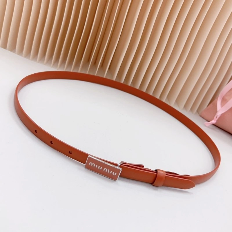 Reasonably priced Miu Miu Belts