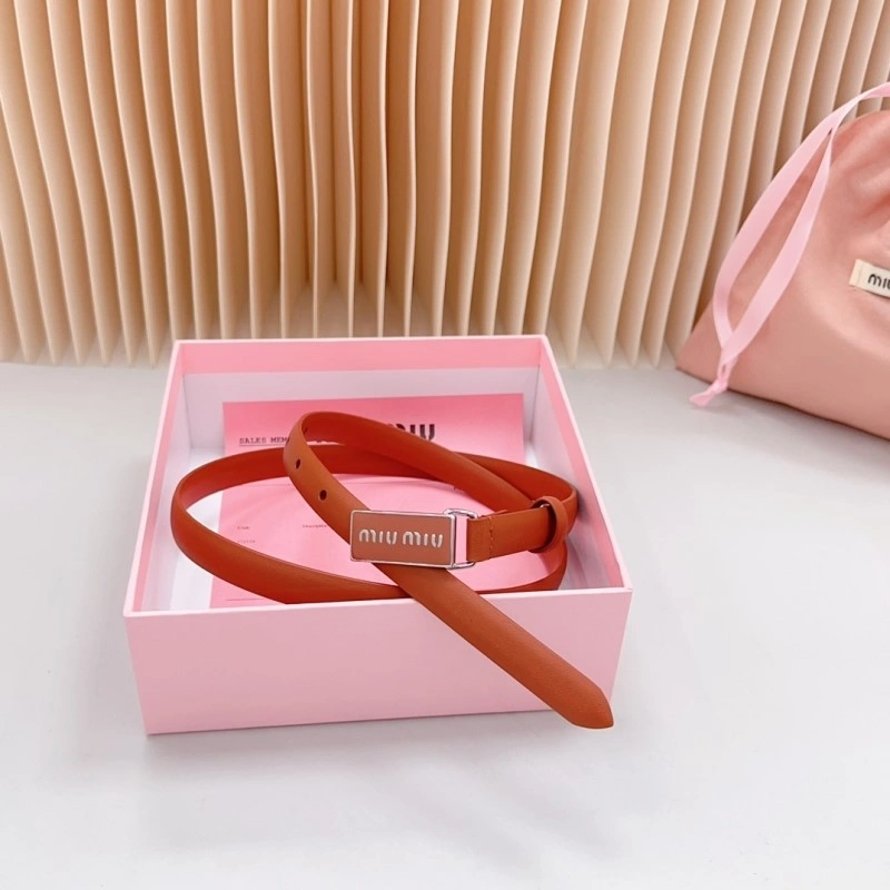 Reasonably priced Miu Miu Belts