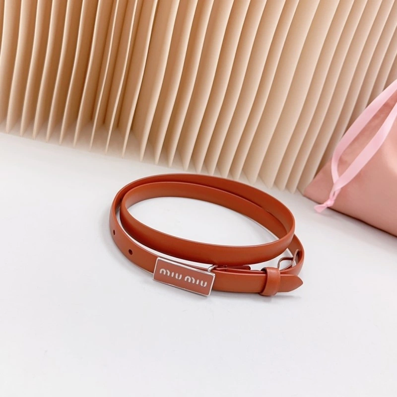 Reasonably priced Miu Miu Belts