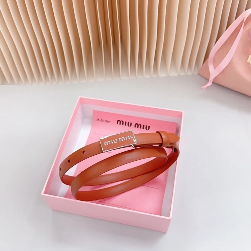 Reasonably priced Miu Miu Belts