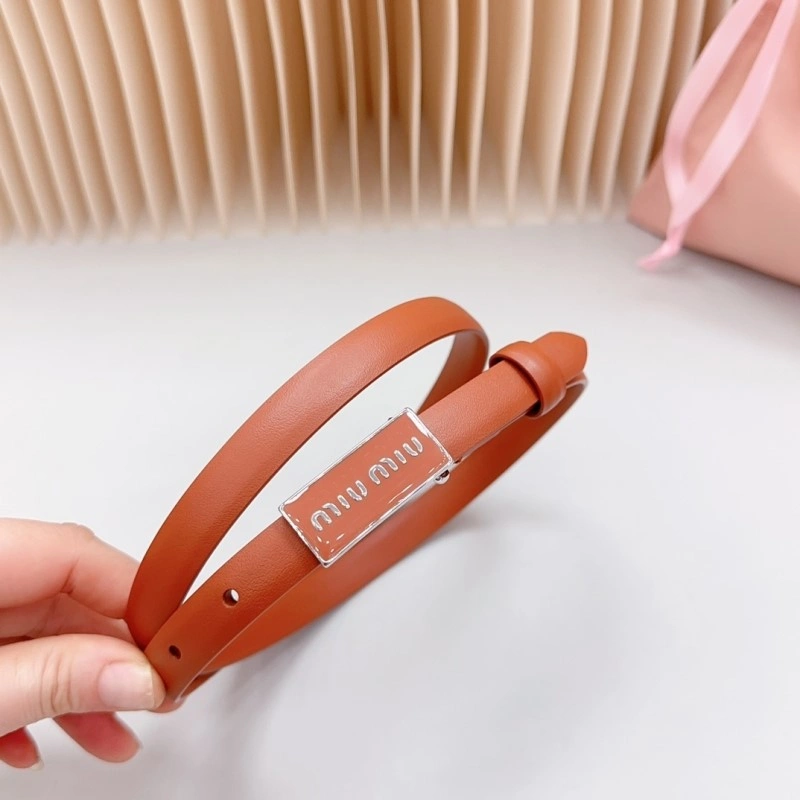 Reasonably priced Miu Miu Belts