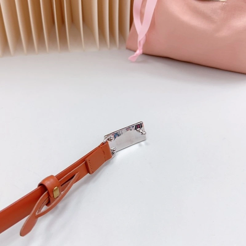 Reasonably priced Miu Miu Belts