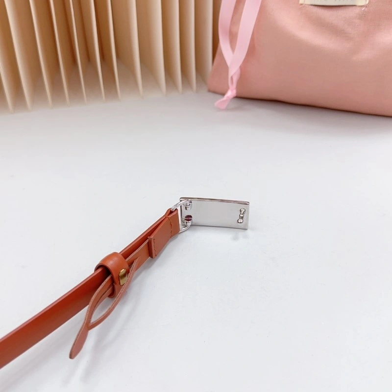 Reasonably priced Miu Miu Belts