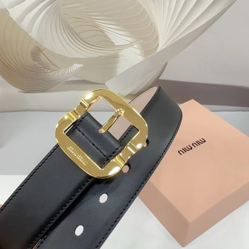 Indistinguishable Miu Miu Belts