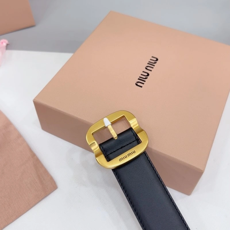 Indistinguishable Miu Miu Belts