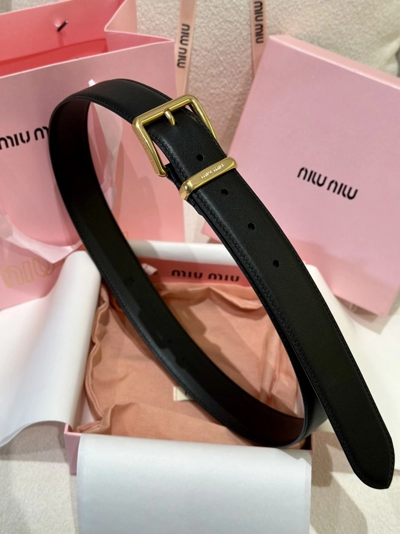 Indistinguishable Miu Miu Belts