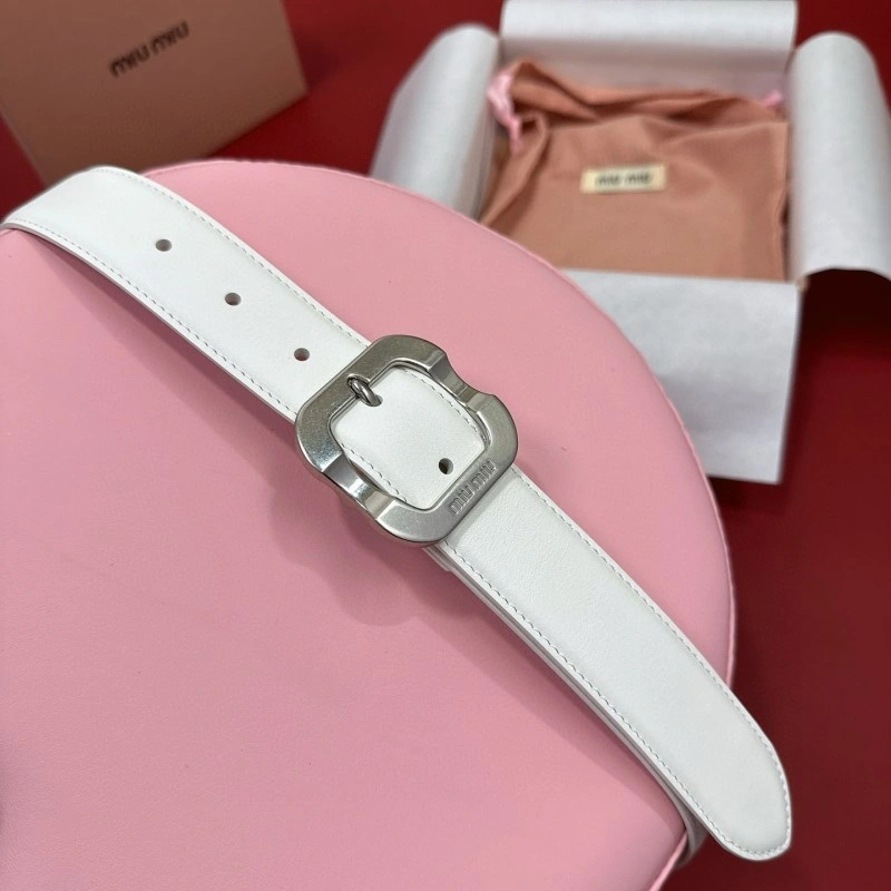 Indistinguishable Miu Miu Belts