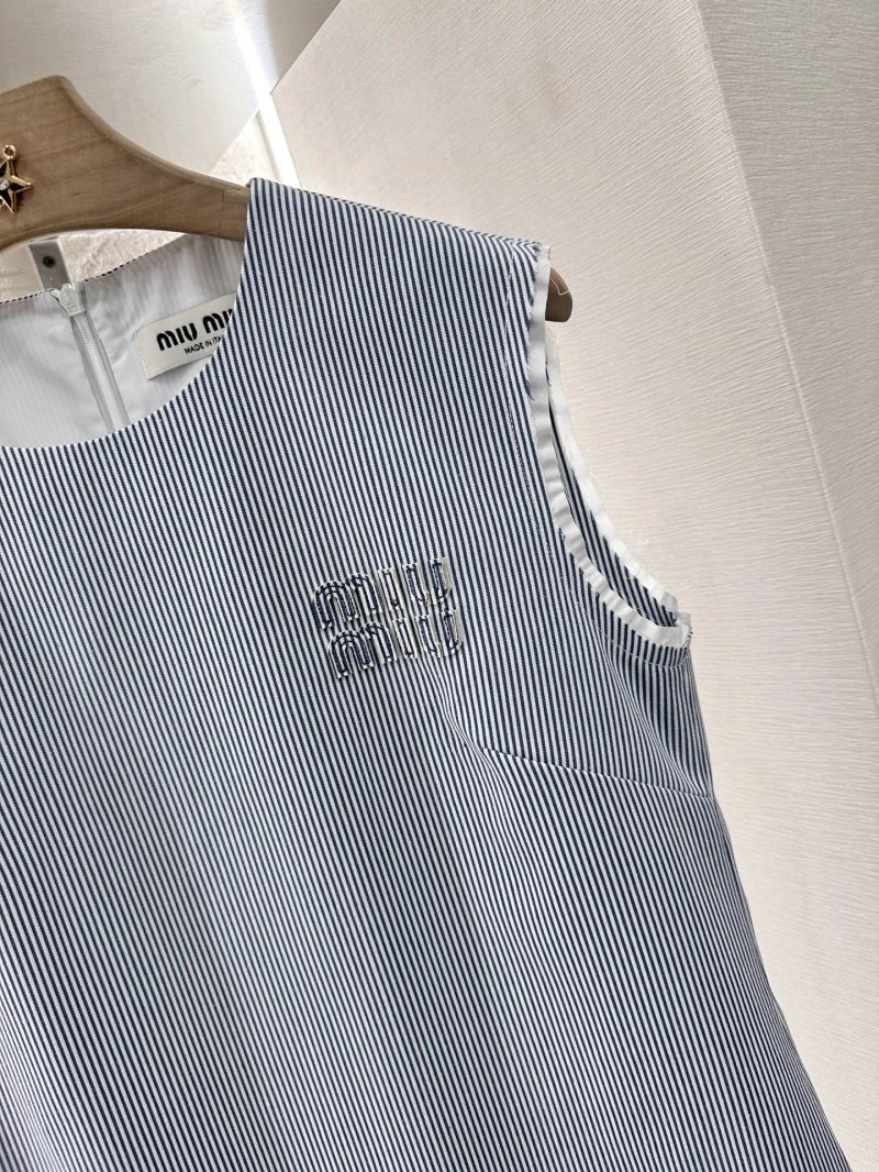 Indistinguishable Miu Miu Dress