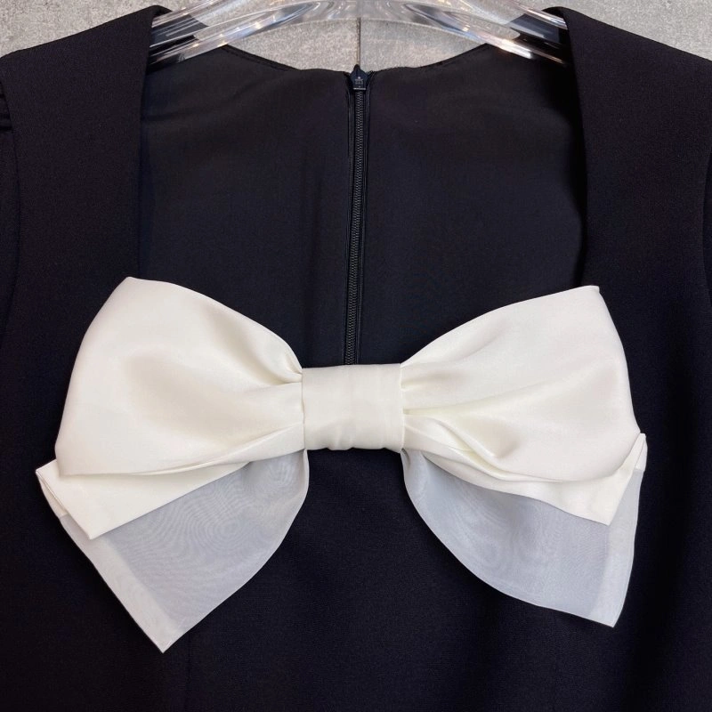 Accurate model Miu Miu Dress