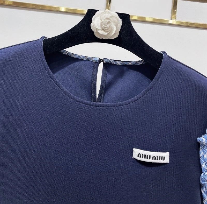 Indistinguishable Miu Miu Dress