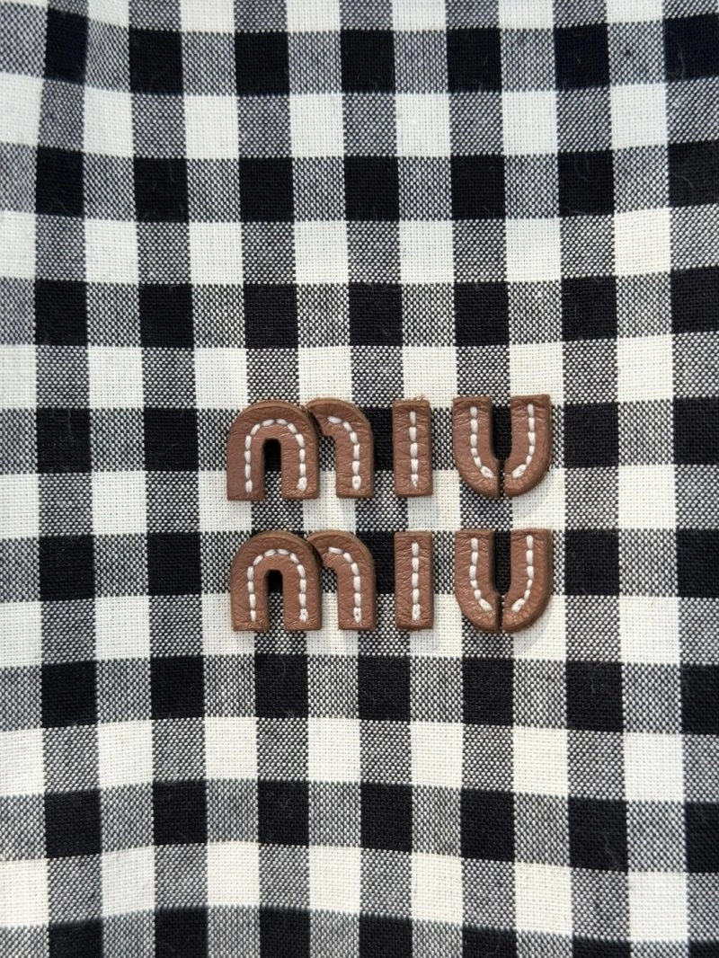Indistinguishable Miu Miu Dress