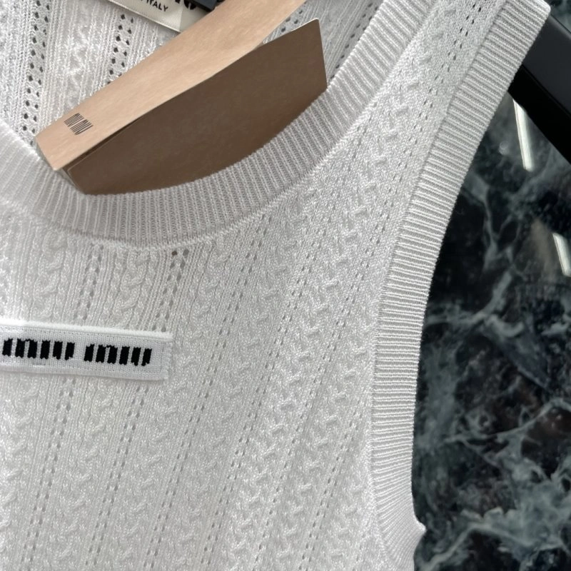 High fidelity Miu Miu Dress