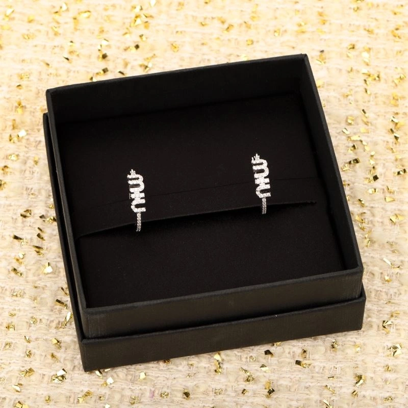 Indistinguishable Miu Miu Earrings