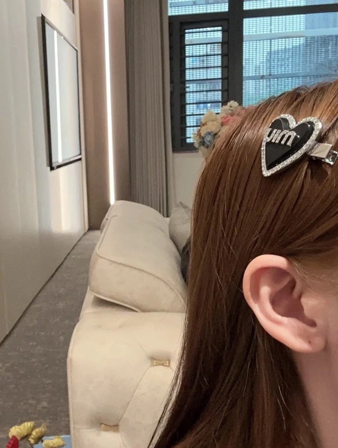 Accurate model Miu Miu Earrings