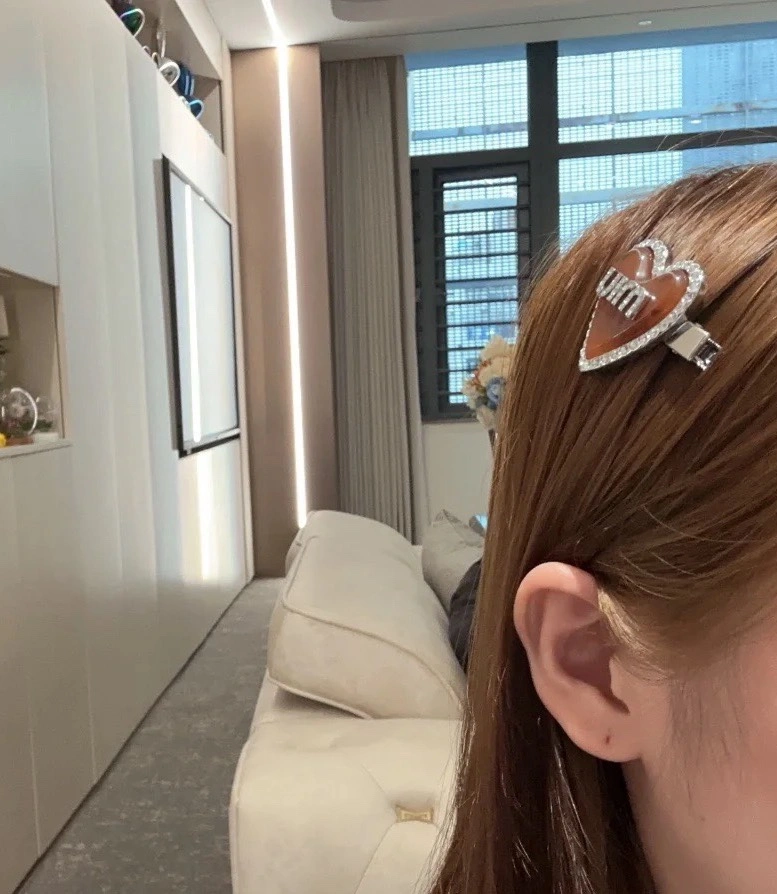 Accurate model Miu Miu Earrings
