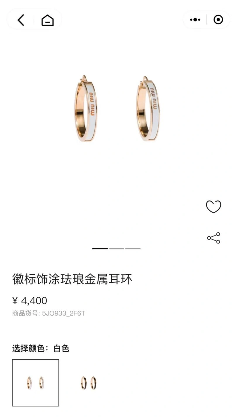 Indistinguishable Miu Miu Earrings