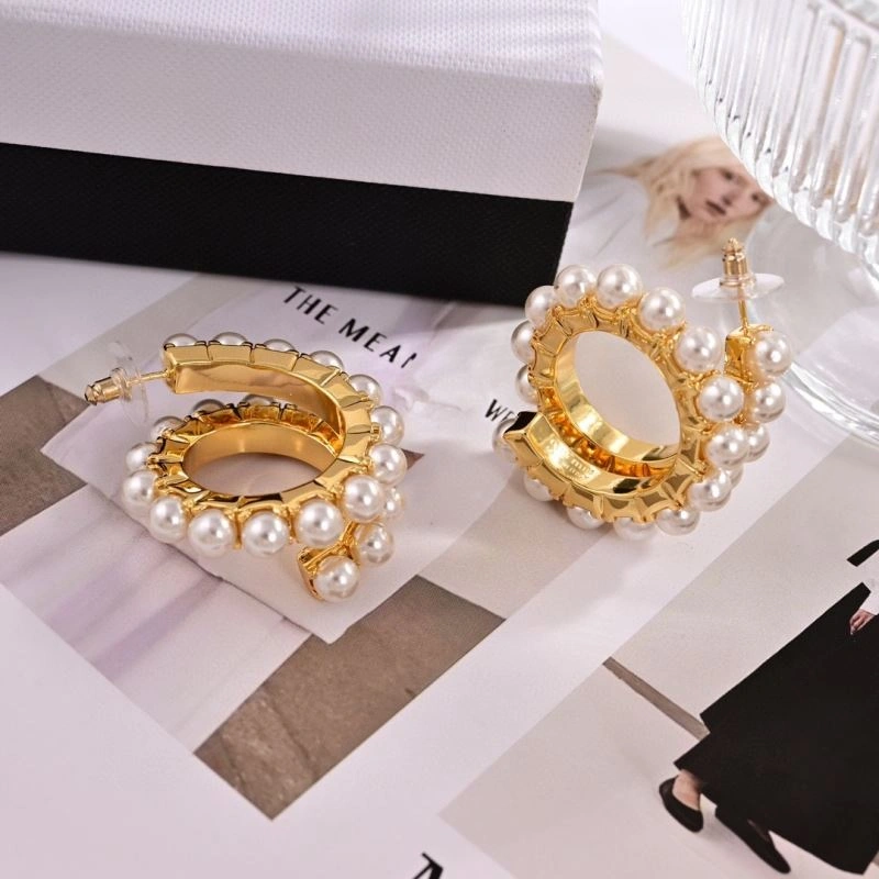 Cut-rate Miu Miu Earrings