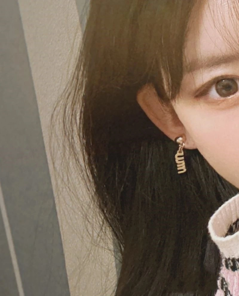 Accurate model Miu Miu Earrings
