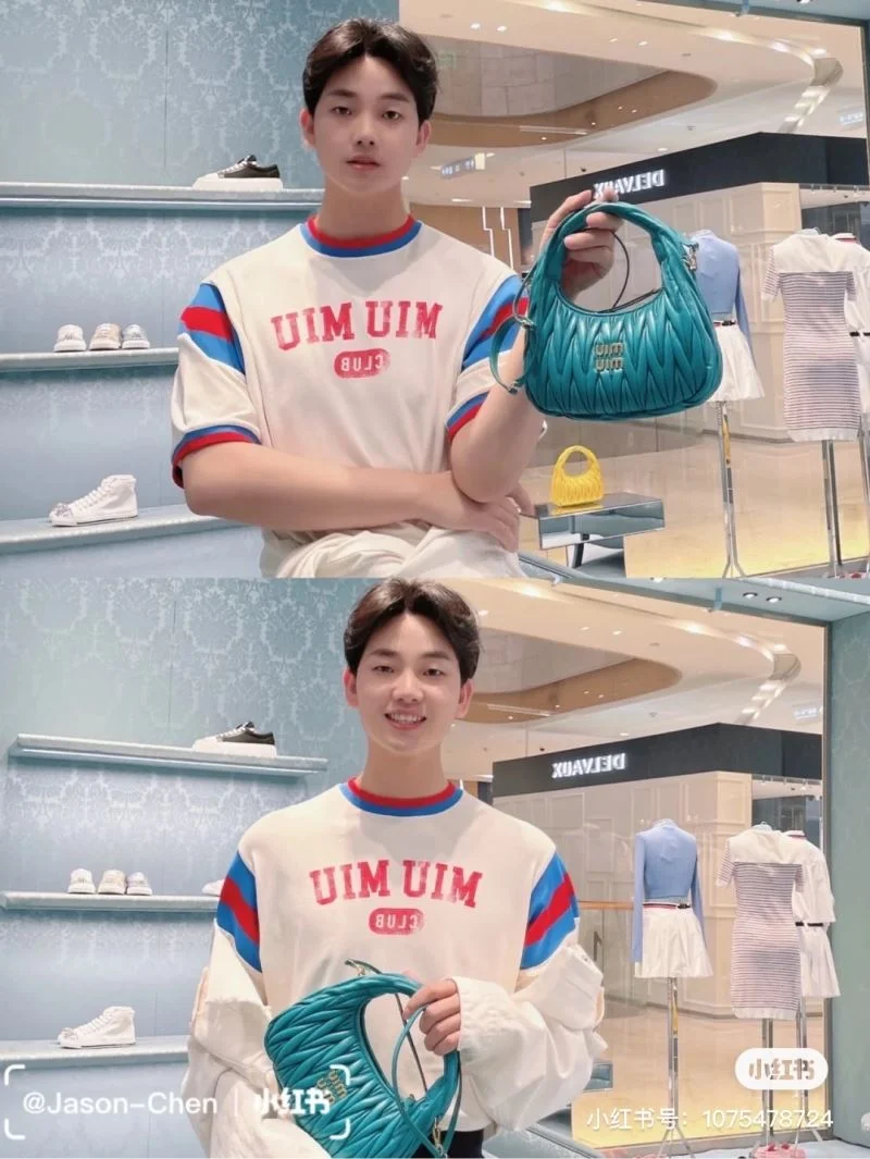 Mirror quality Miu Miu Hobo Bags