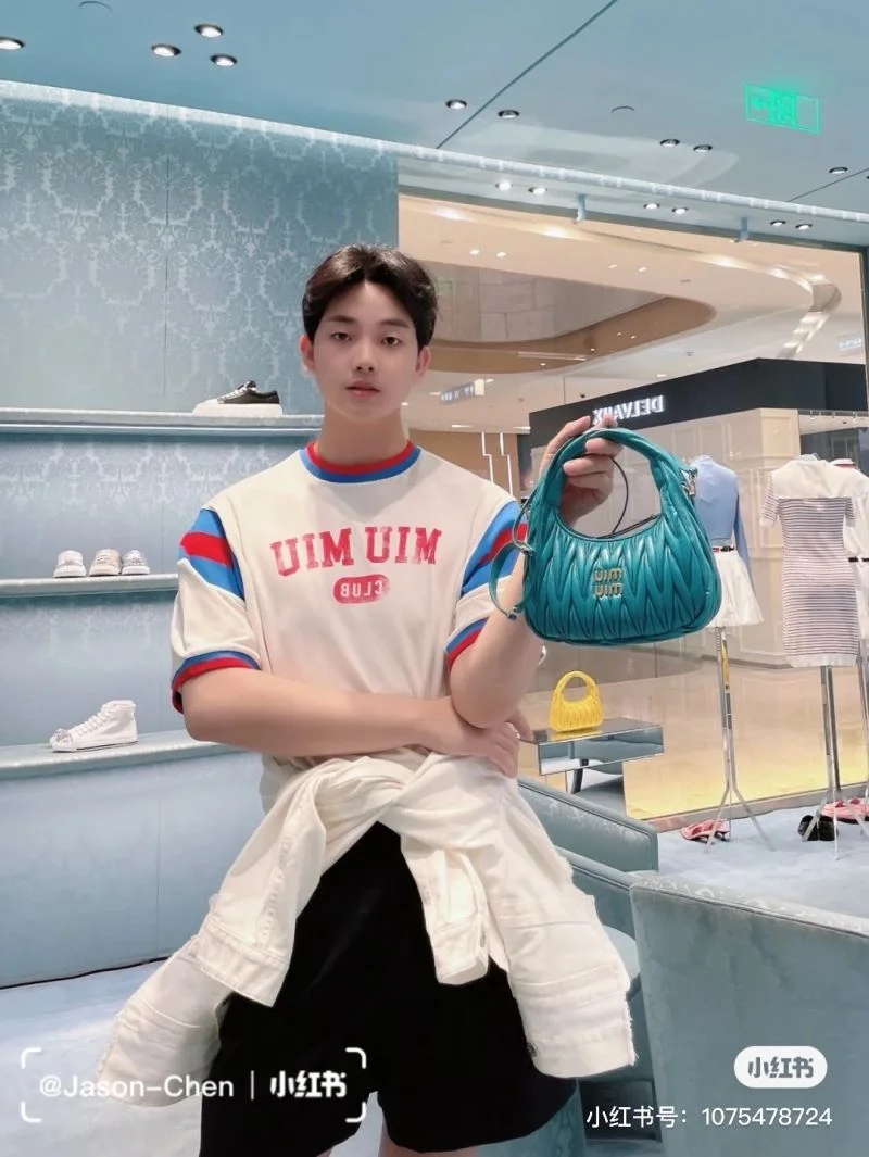 Mirror quality Miu Miu Hobo Bags