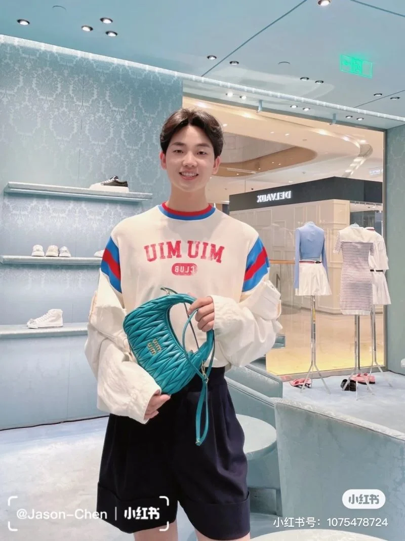 Mirror quality Miu Miu Hobo Bags