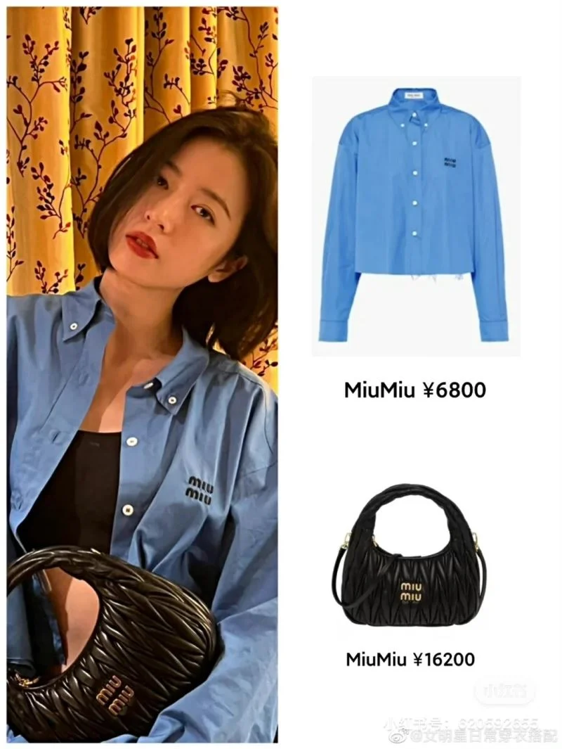 1:1 copy Miu Miu Hobo Bags