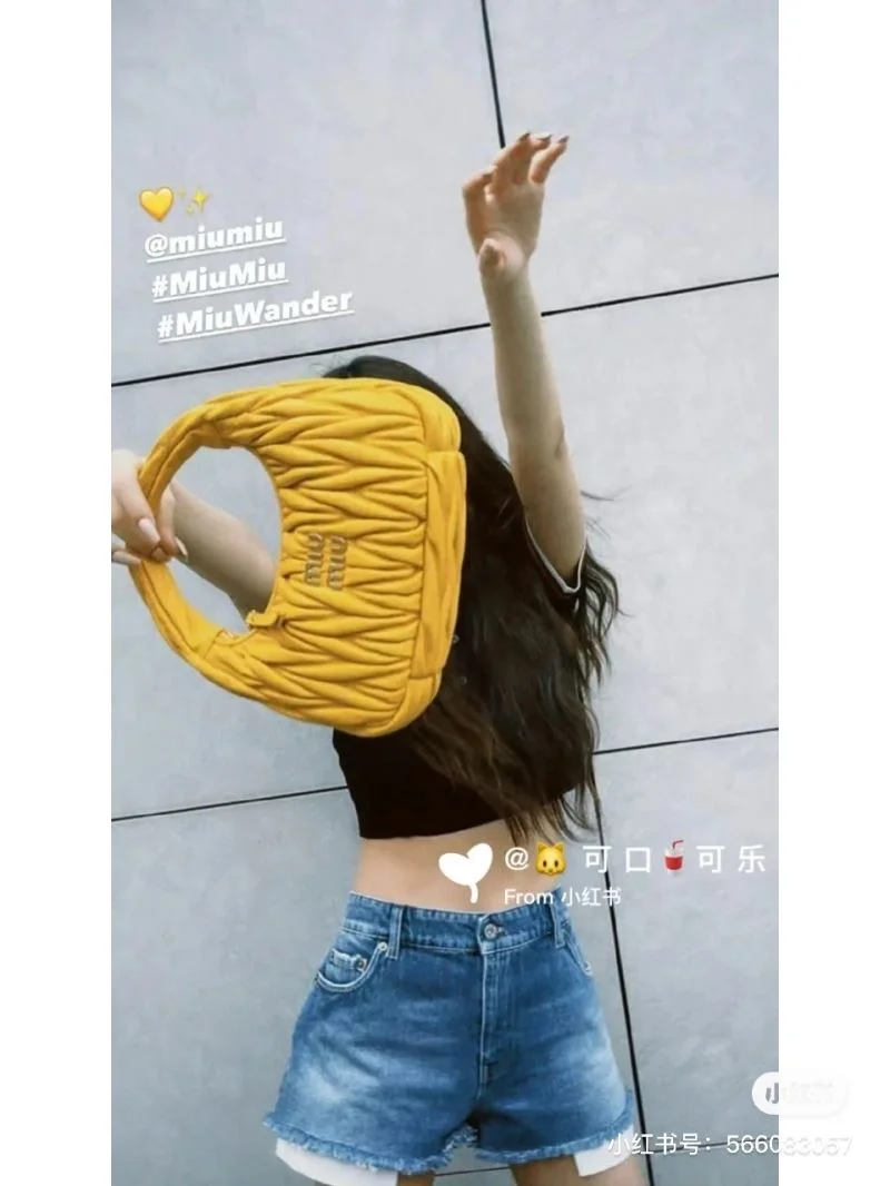 Factory-made Miu Miu Hobo Bags