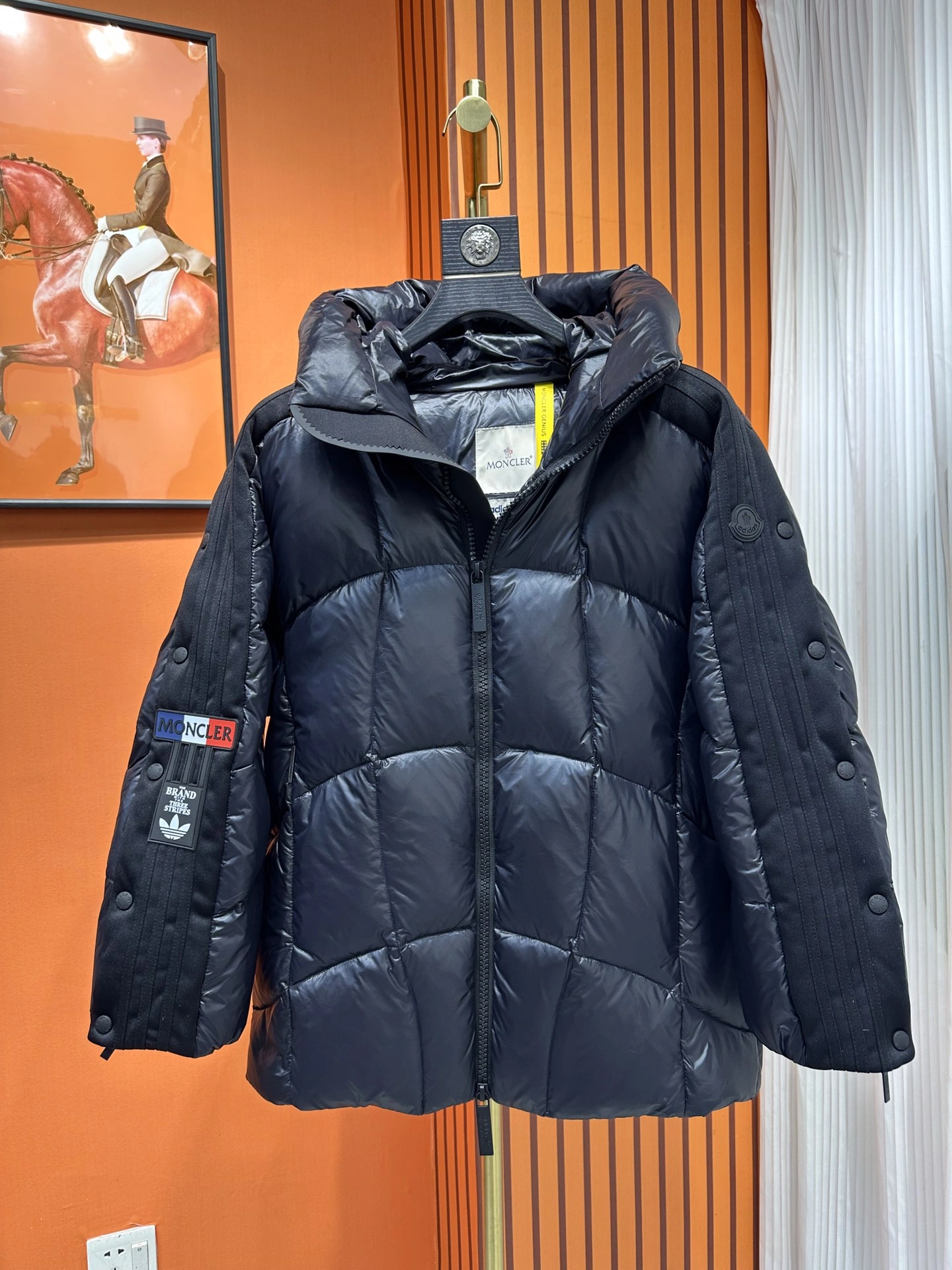 Moncler Down Jackets