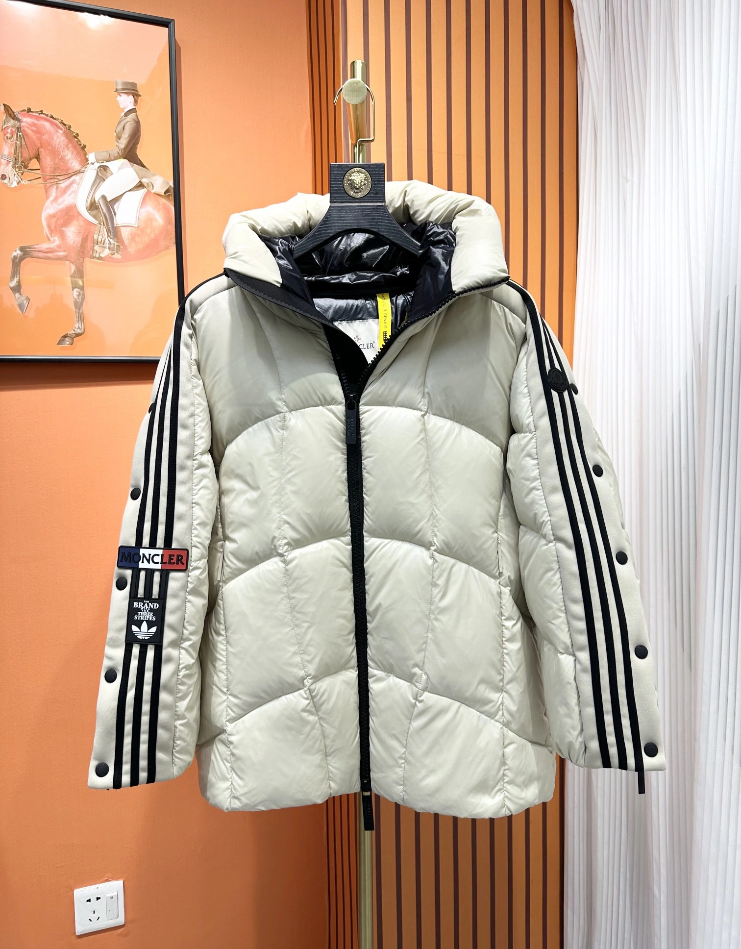 Moncler Down Jackets