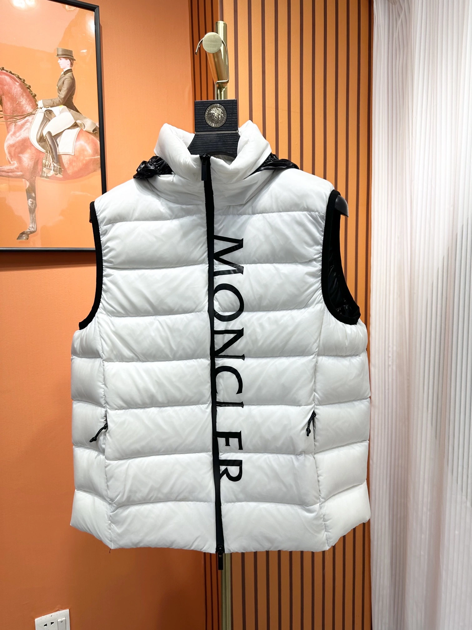 Moncler Down Jackets