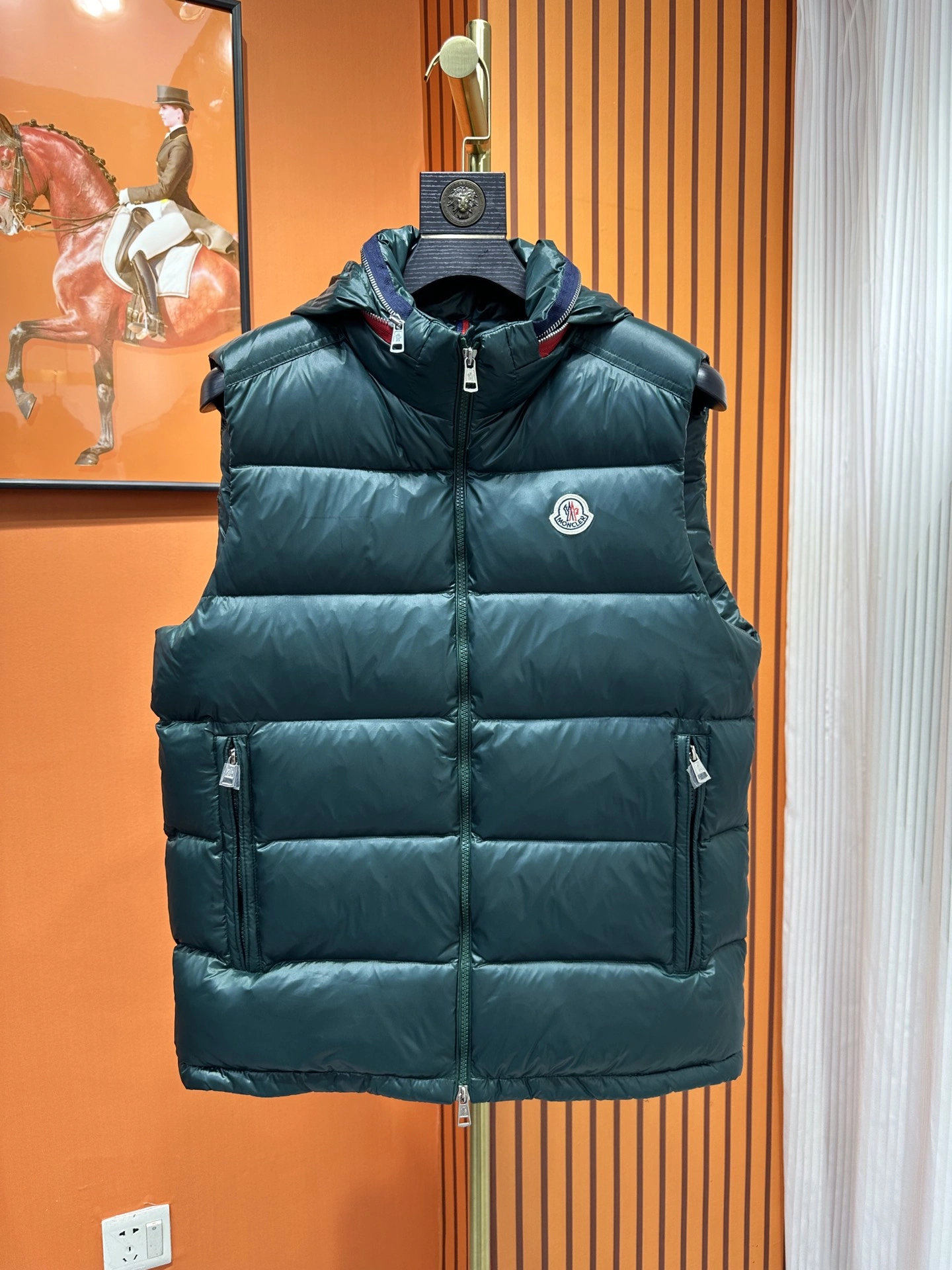 Moncler Down Jackets