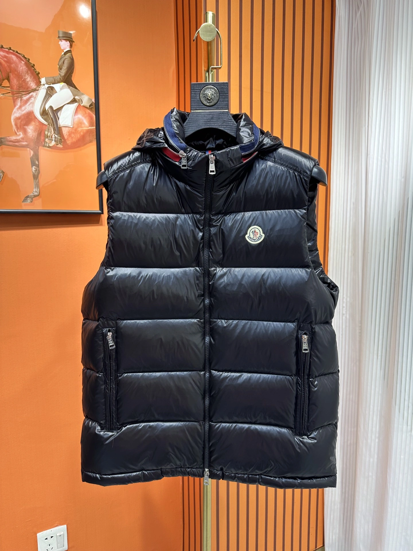 Moncler Down Jackets