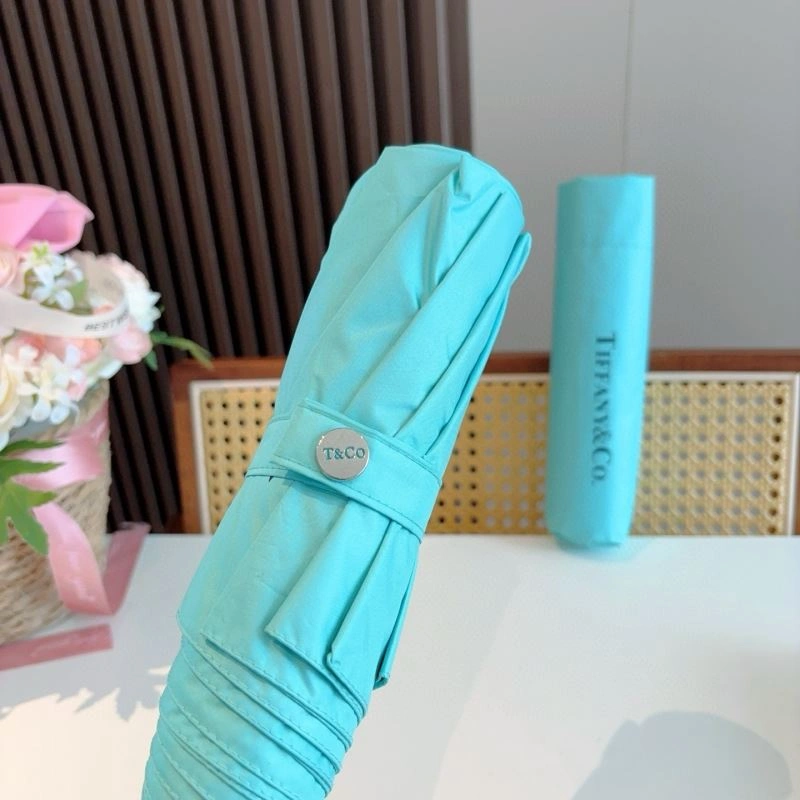 Value-priced NY Umbrella