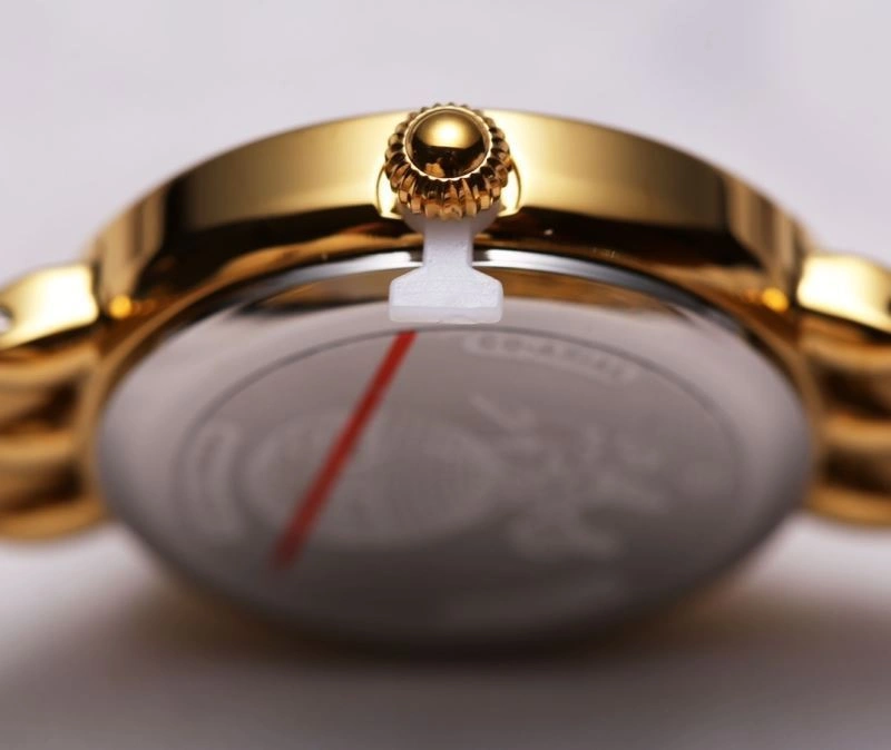 Budget-friendly OMEGA Watches