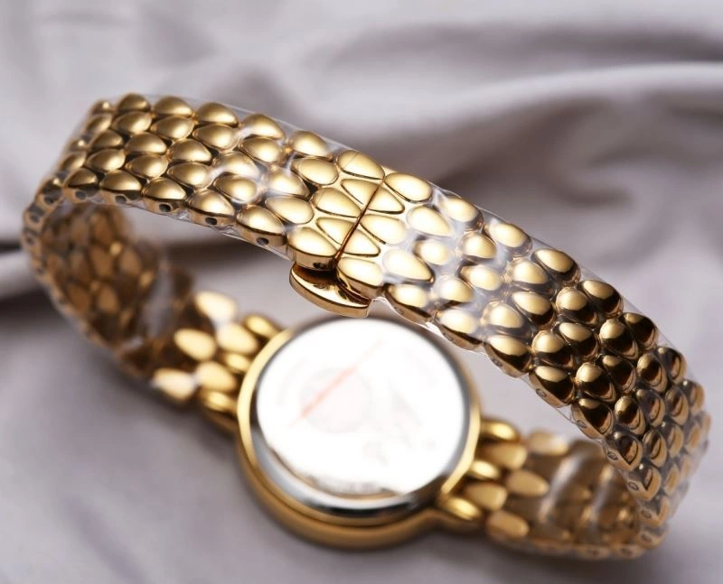 Budget-friendly OMEGA Watches