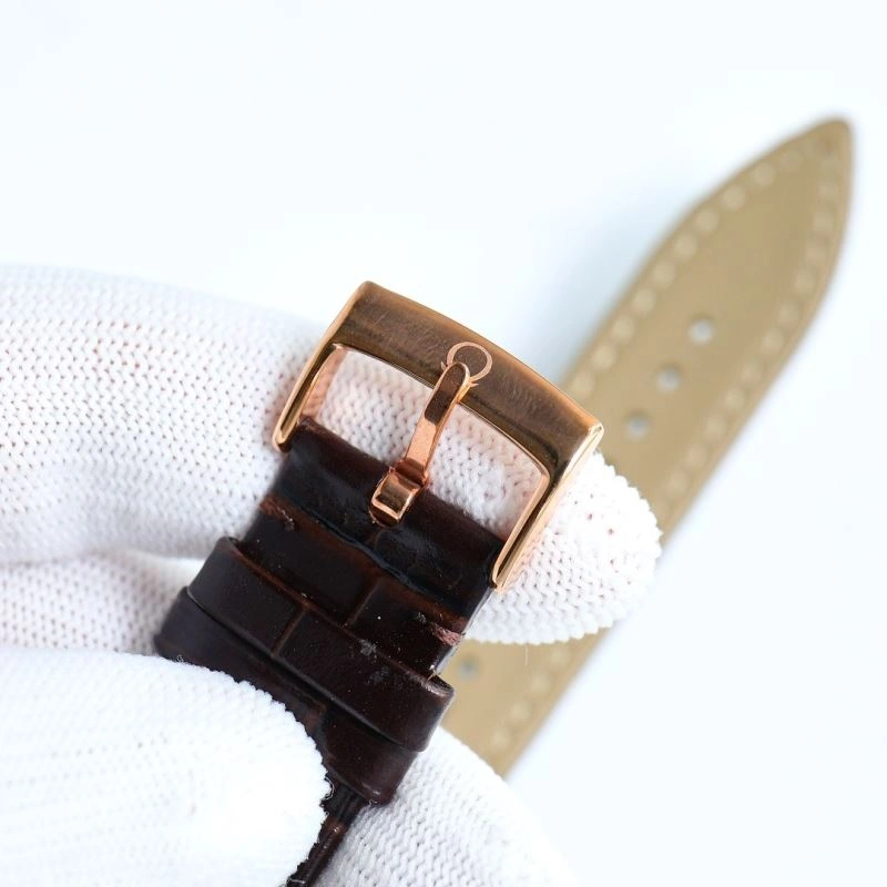 Budget-friendly OMEGA Watches