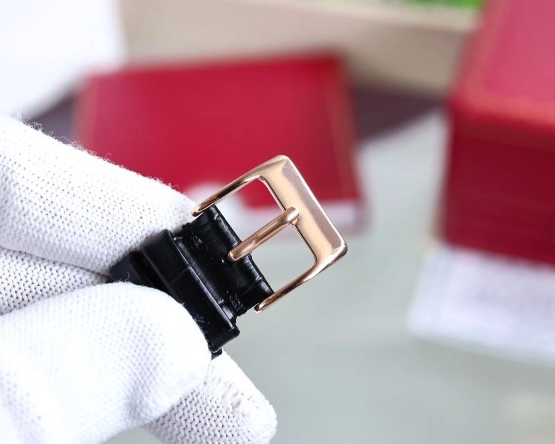 Top match OMEGA Watches