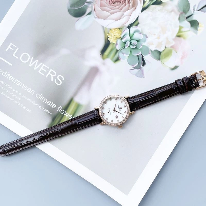 Economical OMEGA Watches
