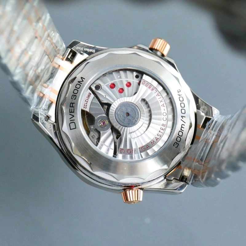Budget-friendly OMEGA Watches